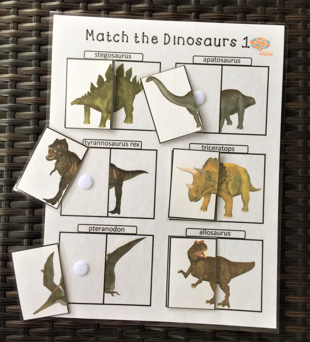 Match the Dinosaurs 1 Activity, Front and Back, Match the Tails to the ...