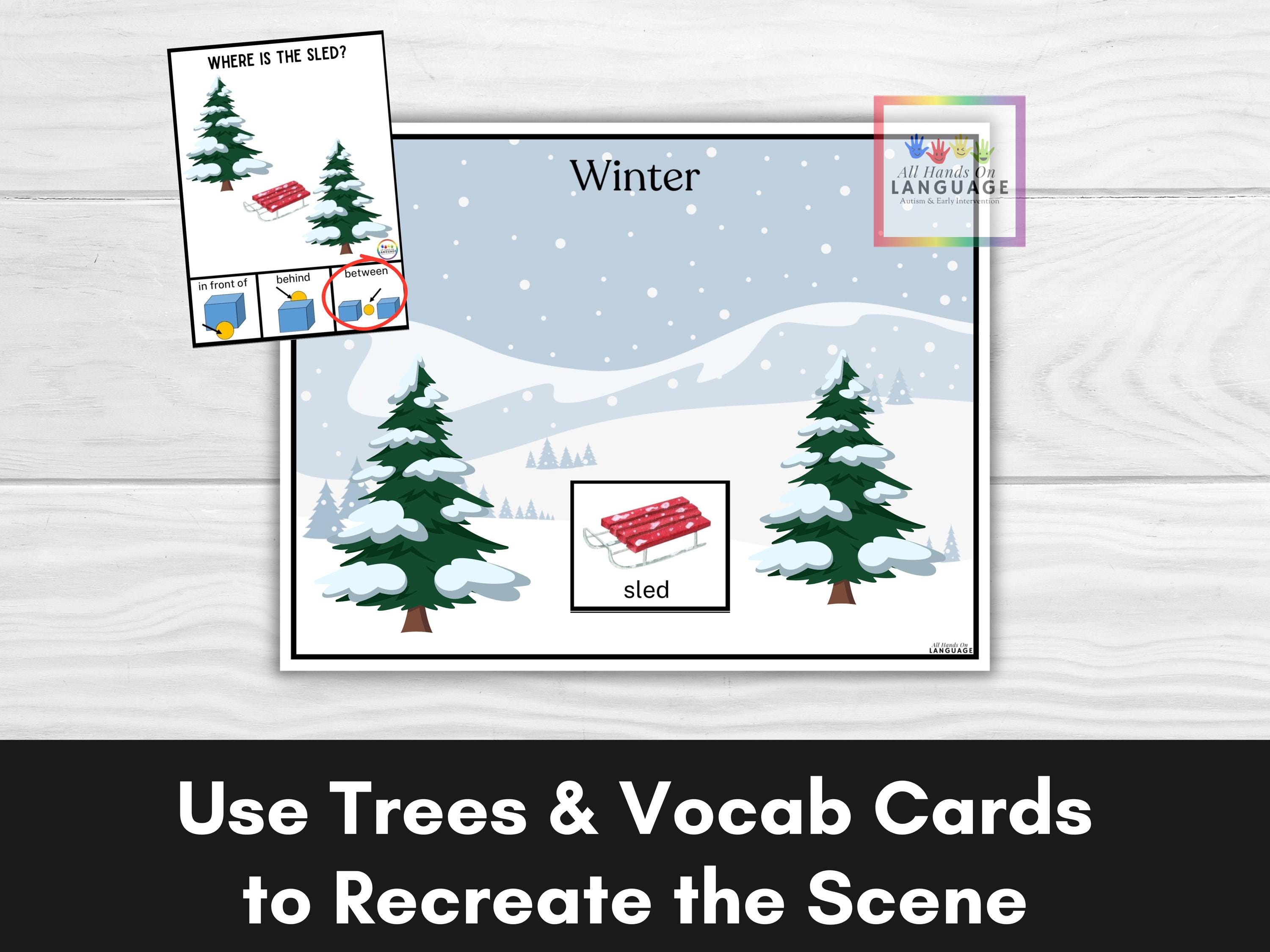 Winter Language Activity Set: Vocabulary, Prepositions, Sentences, WH ...