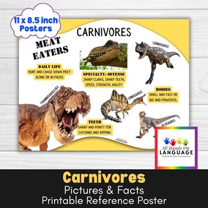 Dinosaur Reference Posters: Carnivores, Herbivores, Common Traits (US ...