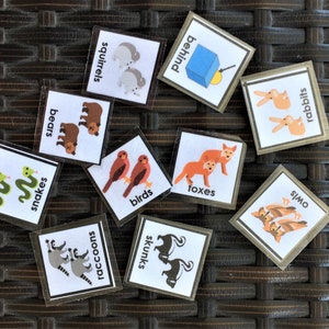 What's Behind the Tree Interactive Book for Preposition - Etsy