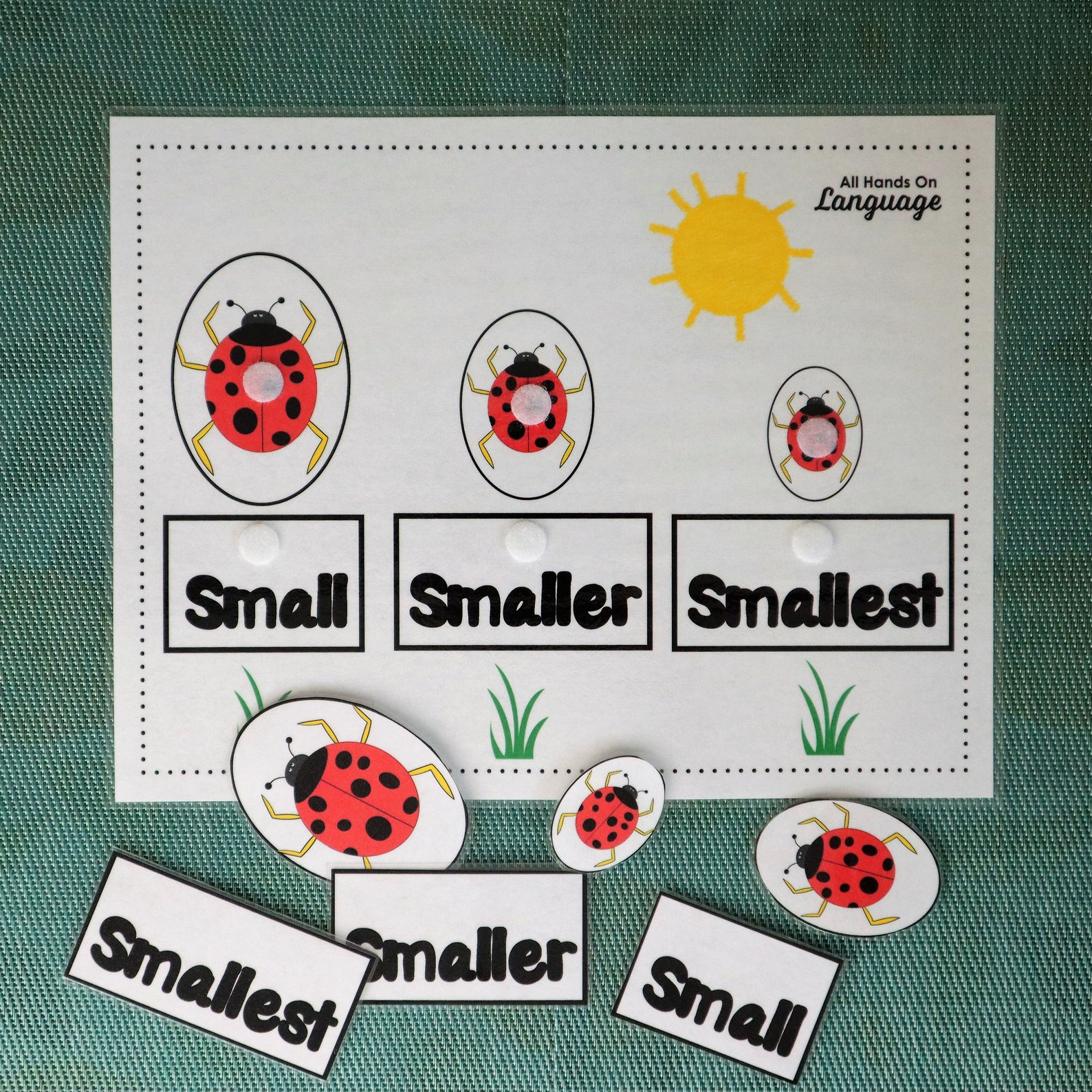 Small Smaller Smallest Ladybug Matching Activity Put the - Etsy
