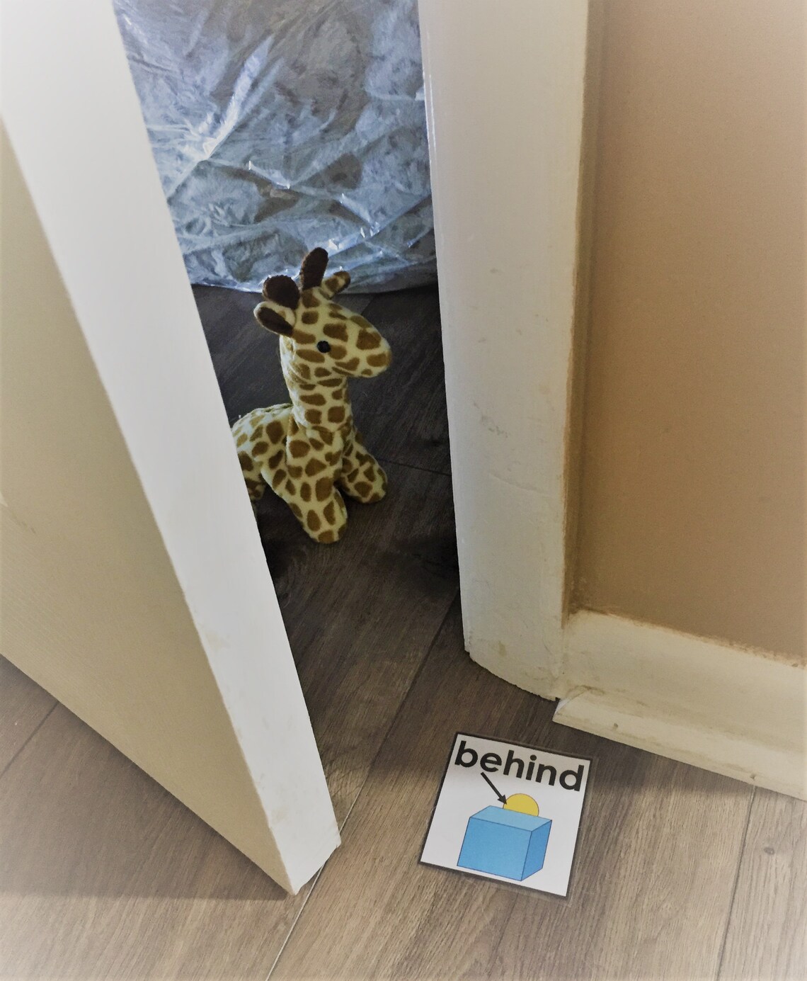 What's Behind the Door Interactive Flap Book Simplified - Etsy