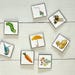 Spring-themed What Goes With This? Associations Matching Activity ...