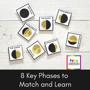 Moon Phases Interactive Activity, 8 Key Phases to Learn and Match ...