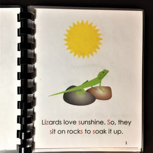 Articulation Stories, Fricatives /s,z/ /th, F, V/ 4 Books Plus ...