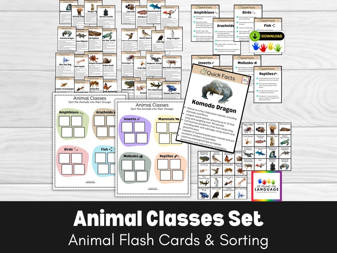Animal Classes Set With 32 Animal Flash Cards, 8 Animal Classes Cards ...