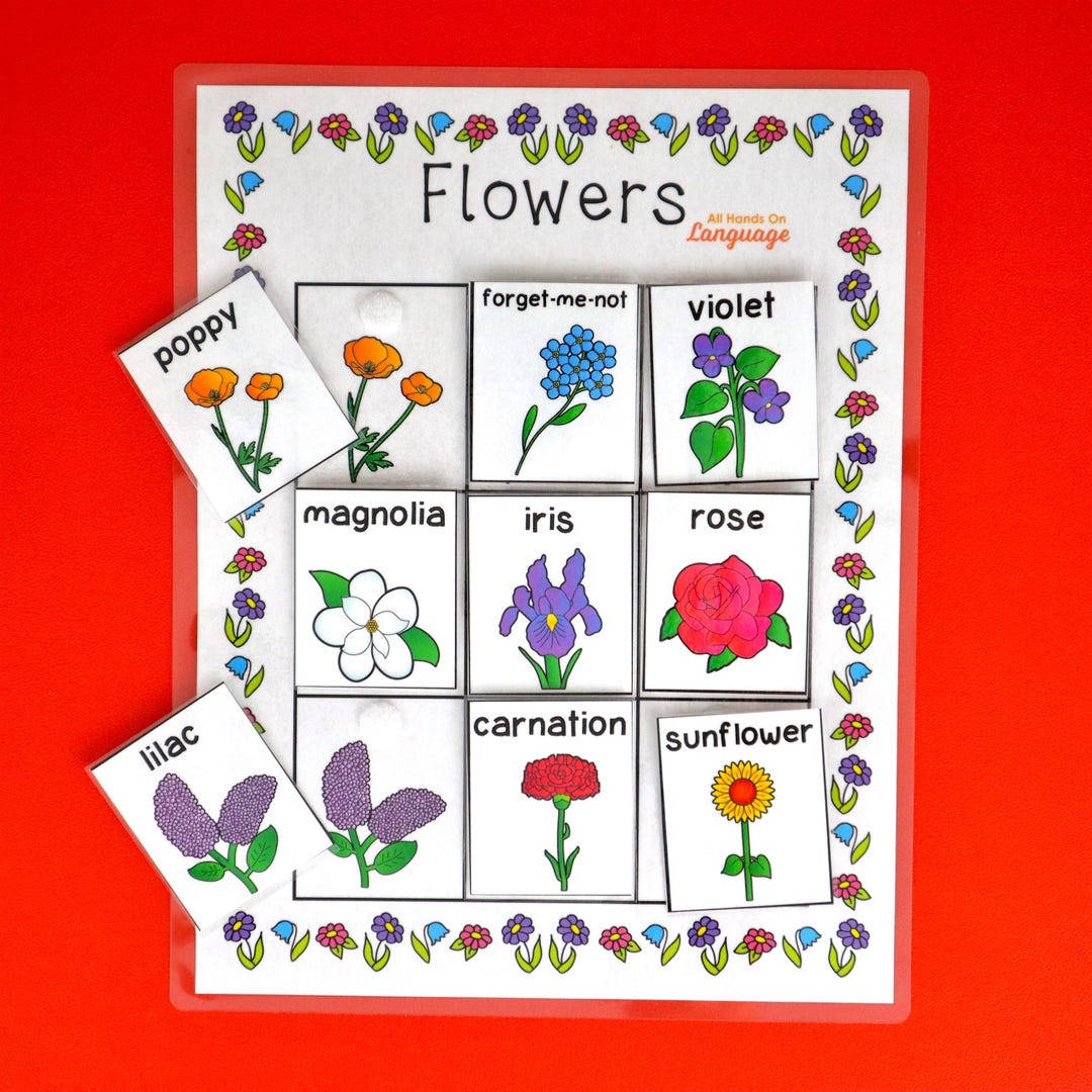 Flower Matching Activity, Match 9 Labeled Flowers, Preschool and Autism ...