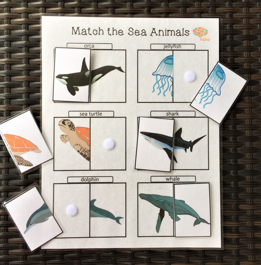 Match the Sea Animals Halves Activity, Front + Back Matching Game ...