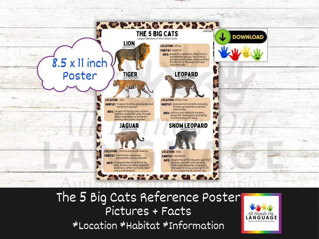 The 5 Big Cats Reference Poster: Location, Habitat Info for Lion, Tiger ...