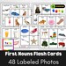 Montessori Elementary Key Experiences Bundle - Language & Grammar ...