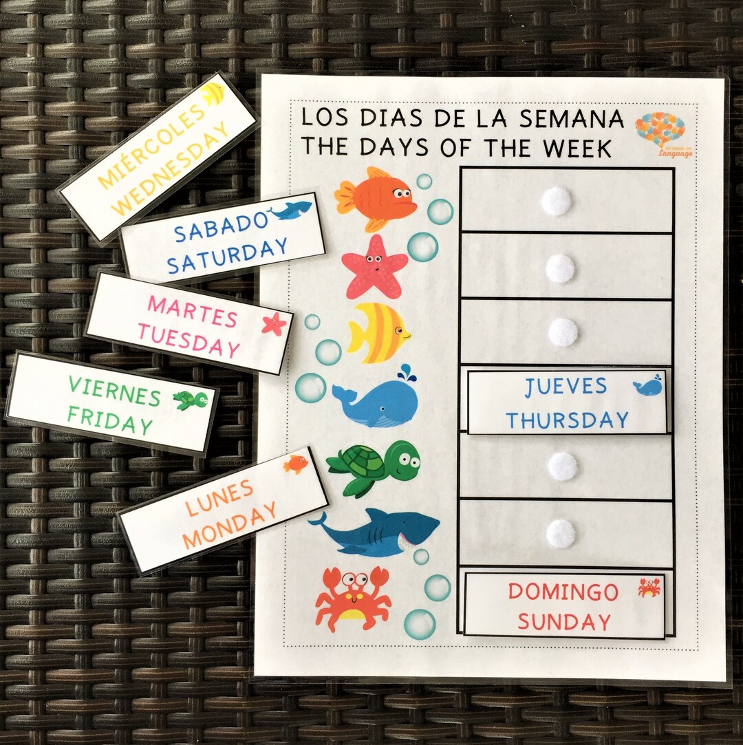 Bilingual Spanish/english Days of the Week Ordering Activity, With ...