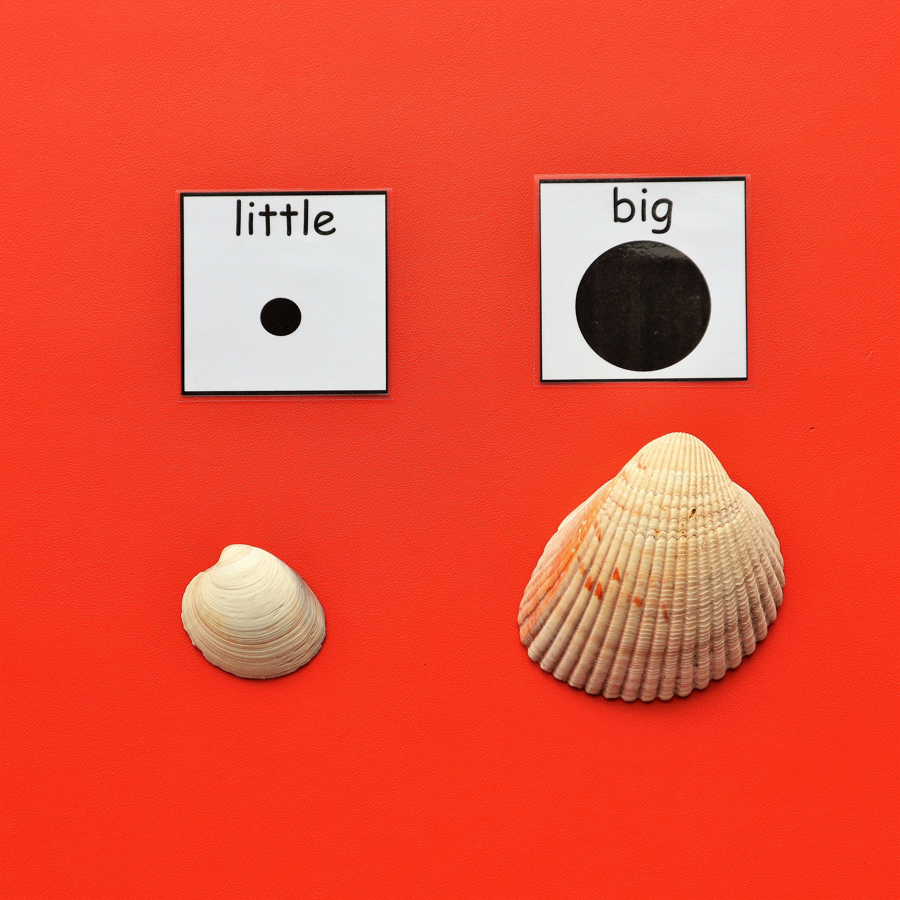 Core Vocabulary Cue Cards: 48 Messages, AAC Aided-language (PDF ...