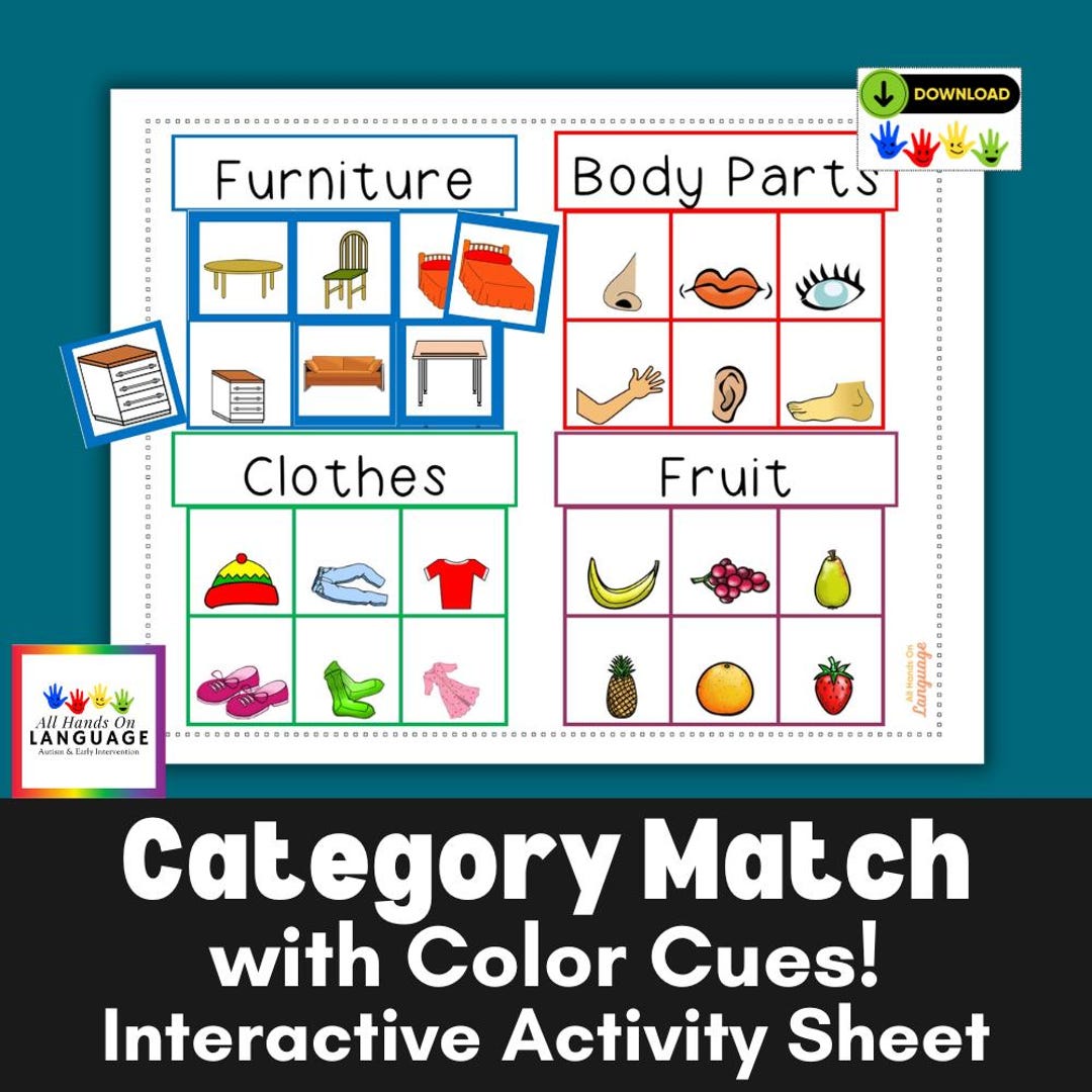 Category Matching Activity, 4 Categories-24 Pictures, Teach ...
