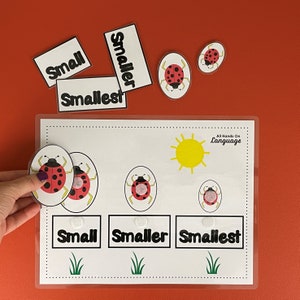 Small, Smaller, Smallest Ladybug Matching Activity, Put the Ladybugs in ...