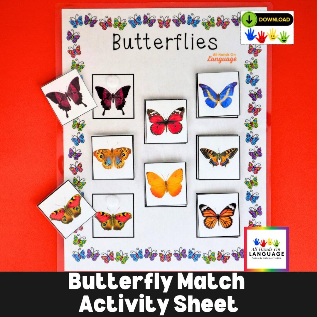 Butterfly Matching Game: Insect Study Printable (PDF) - Etsy