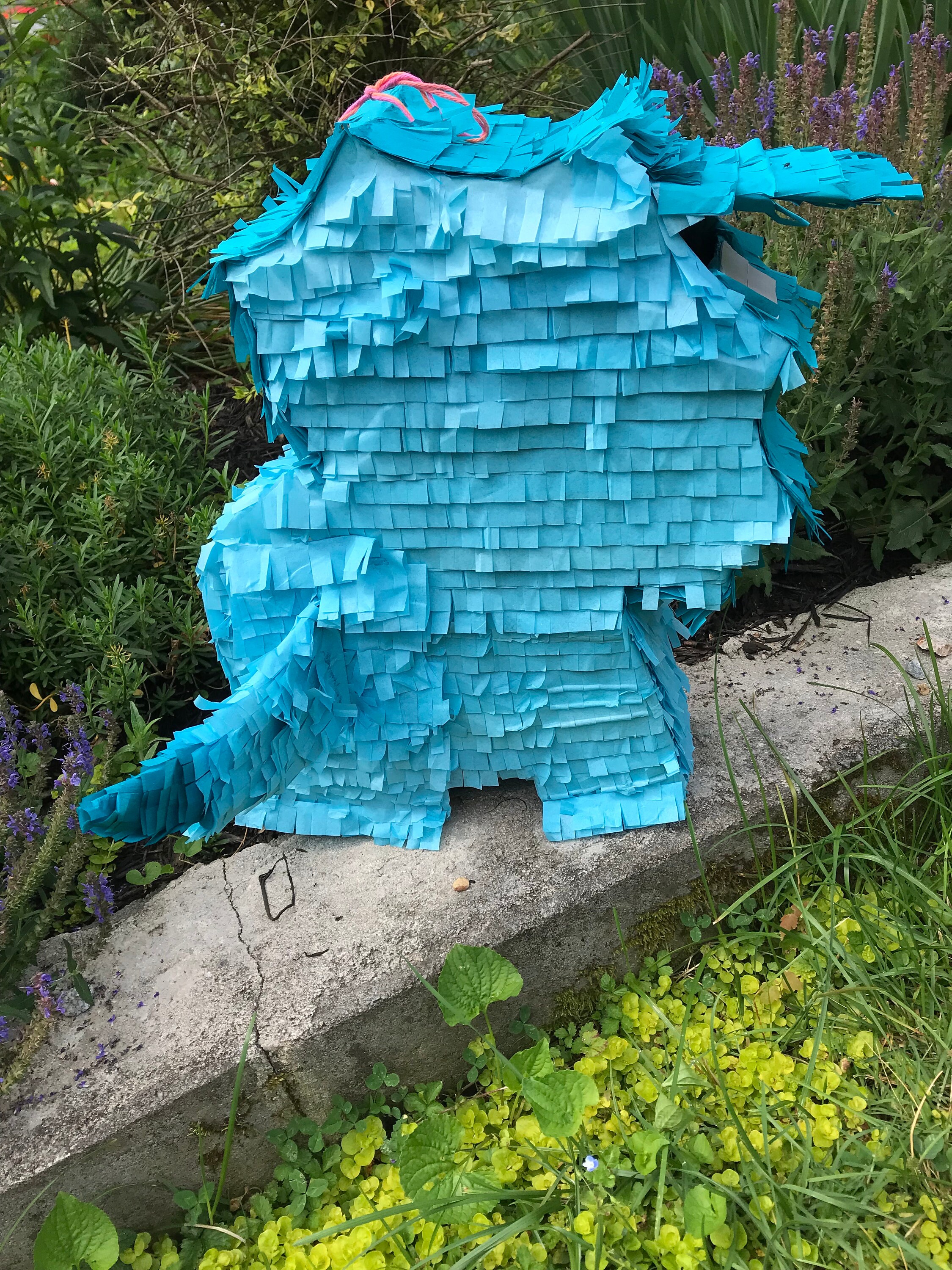 Dinosaur Piñata Triceratops Pinata Dinosaur Birthday - Etsy