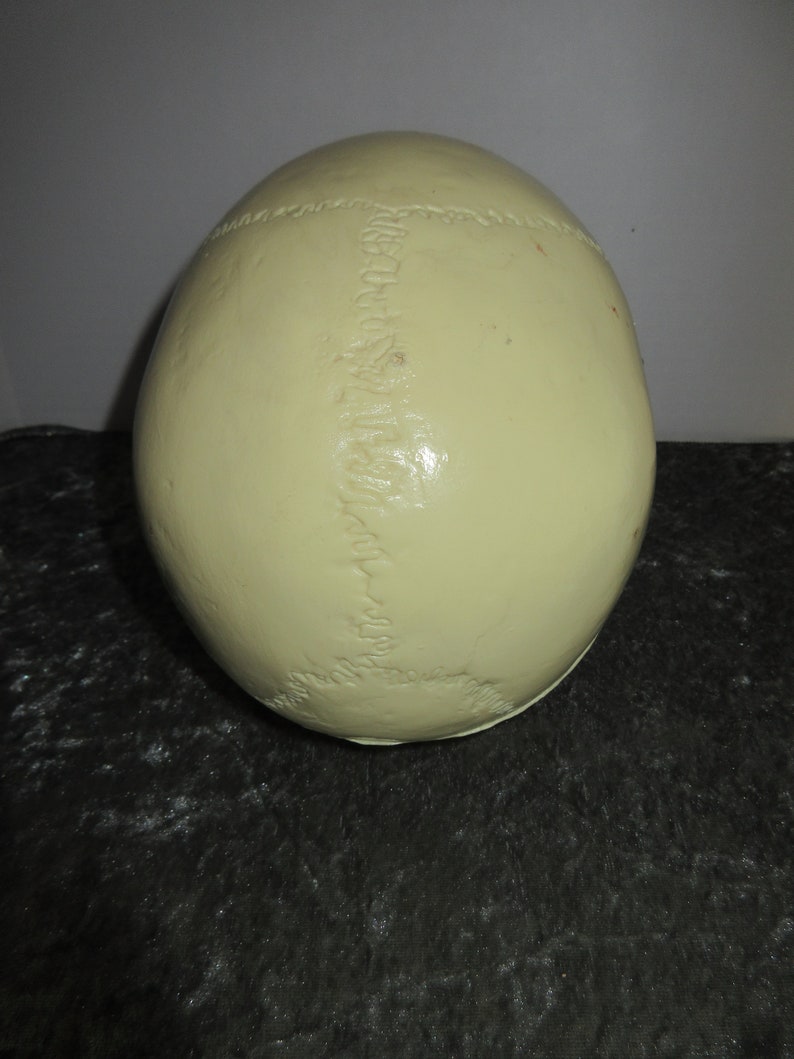 Medical Resin Human Skull replica 1 - Etsy