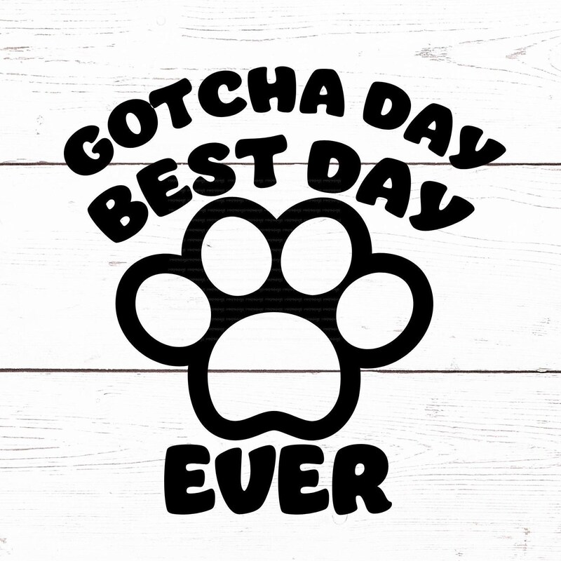 Gotcha Day - Etsy