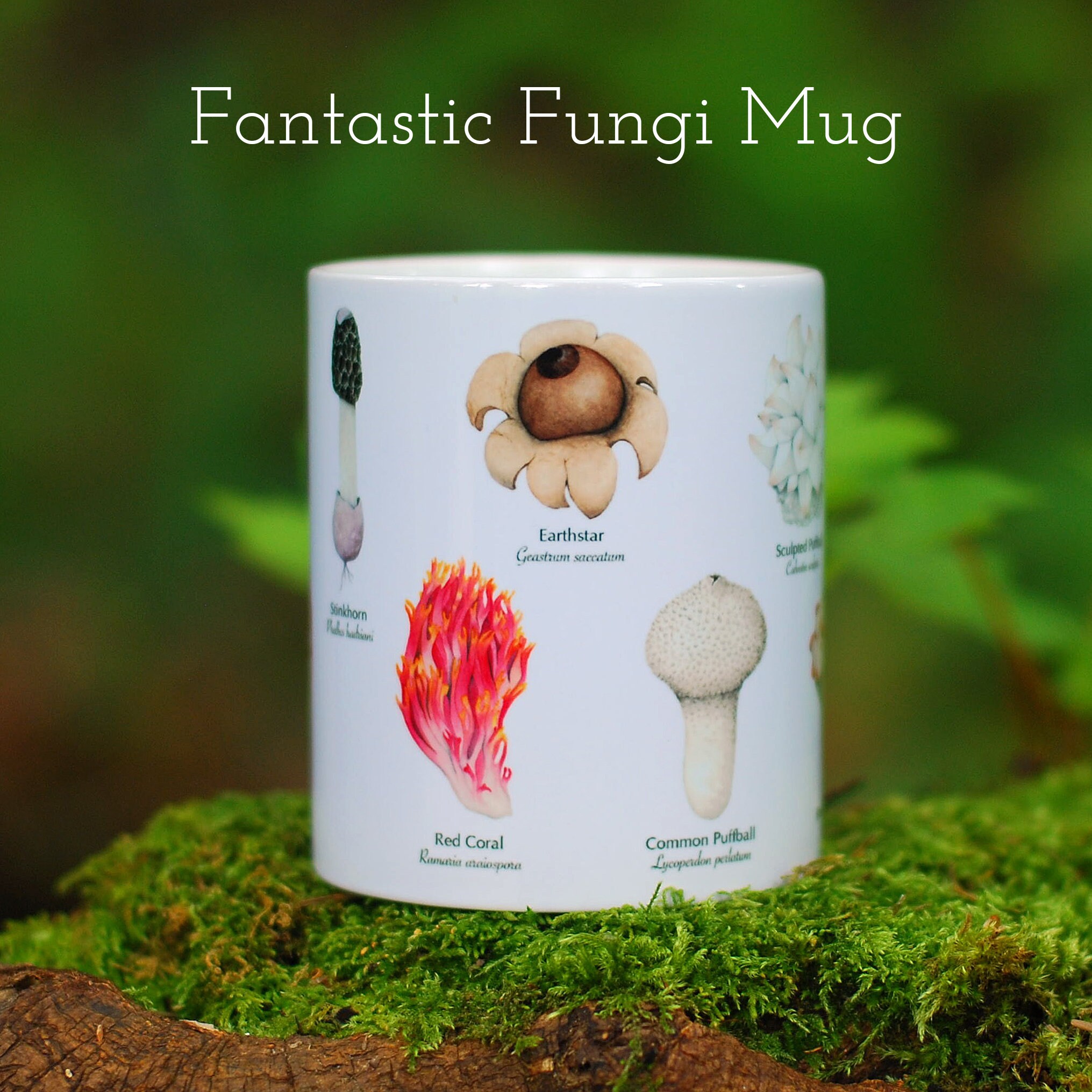 Mushroom Mugs - Set of 3 - Etsy