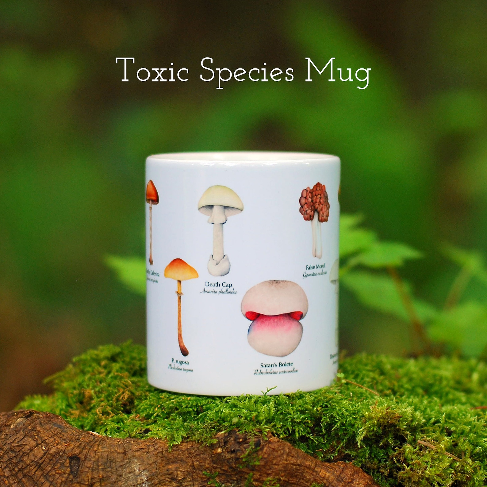 Mushroom Mugs - Set of 3 - Etsy