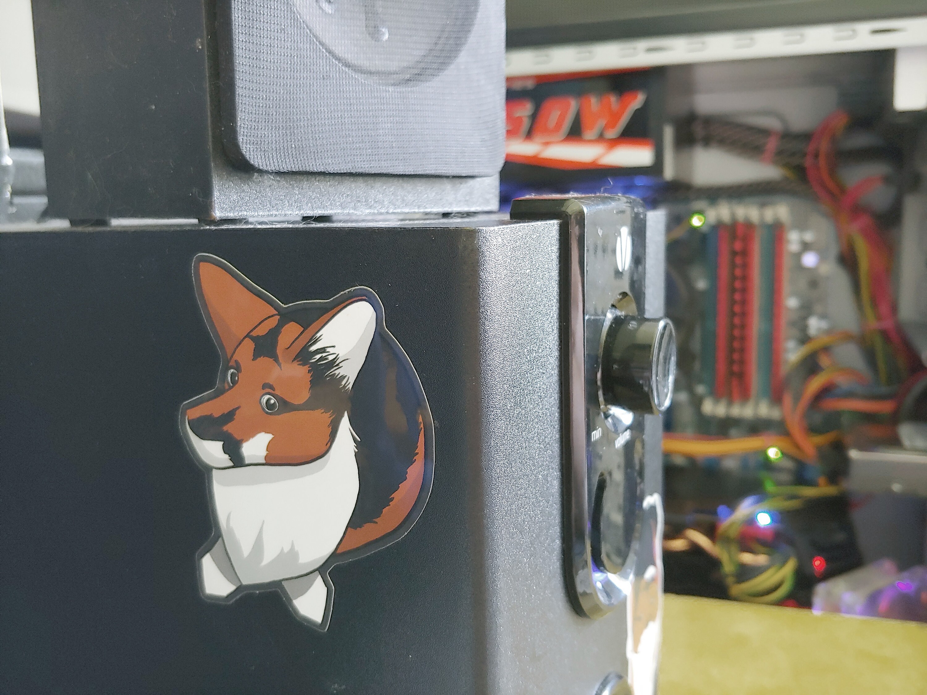 Corgi Dog Vinyl Sticker Diecut Laptop Decal Side Eye | Etsy