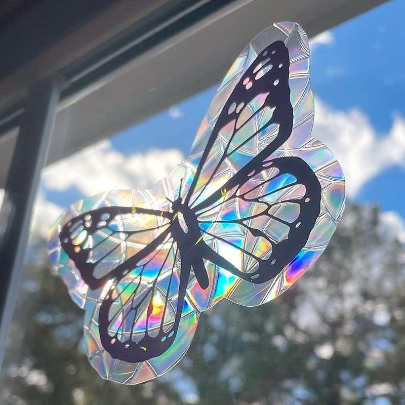 Suncatcher Film - Etsy