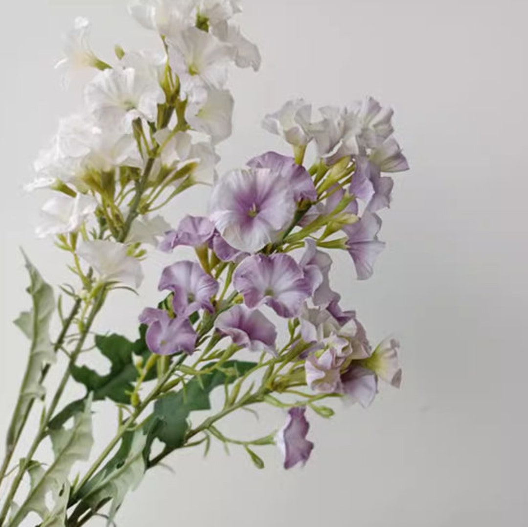 Artificial Morning Glory/artificial Flower Stem/table Center Flower ...