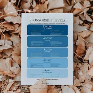 Sponsorship Levels Flyer, DIY Flyer Template, PTA Sponsorship Levels ...