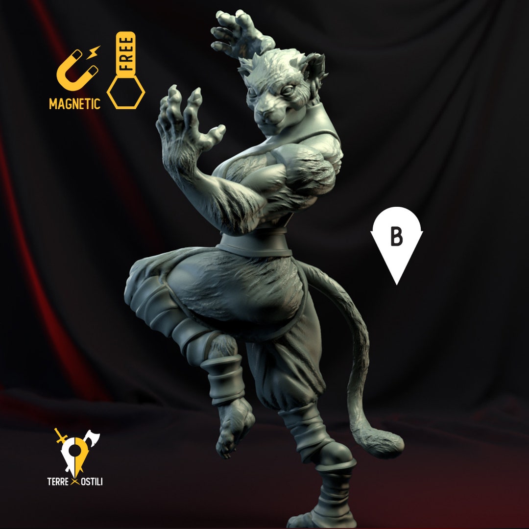 Tabaxi Monk Catfolk Miniature 3d Compatible With Dungeons and Dragons ...