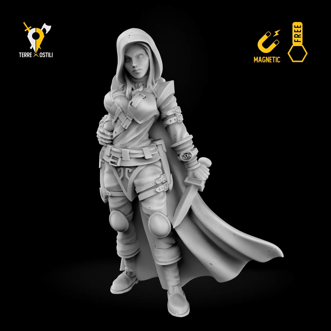 Human Rogue Intrepid Miniature 3d Compatible With Dungeons and Dragons ...