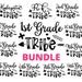 Svg Bundle, Back to School Svg, School Tribe Svg, Svg, School Svg ...