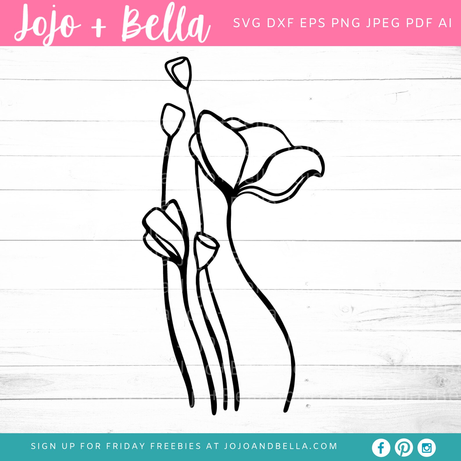 Poppy SVG Bundle Svg, Dxf, Eps, Jpeg, Png, Ai, Pdf, Cut File Flower Svg ...