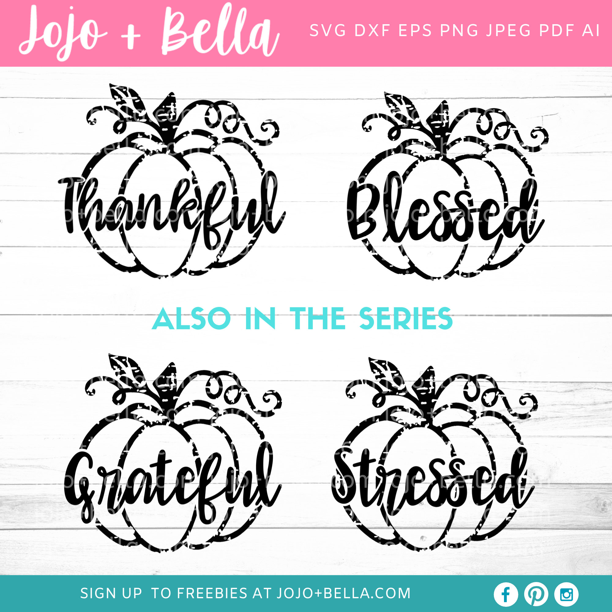 Blessed Svg Pumpkin Svg Thanksgiving SVG Pumpkin Svg File | Etsy