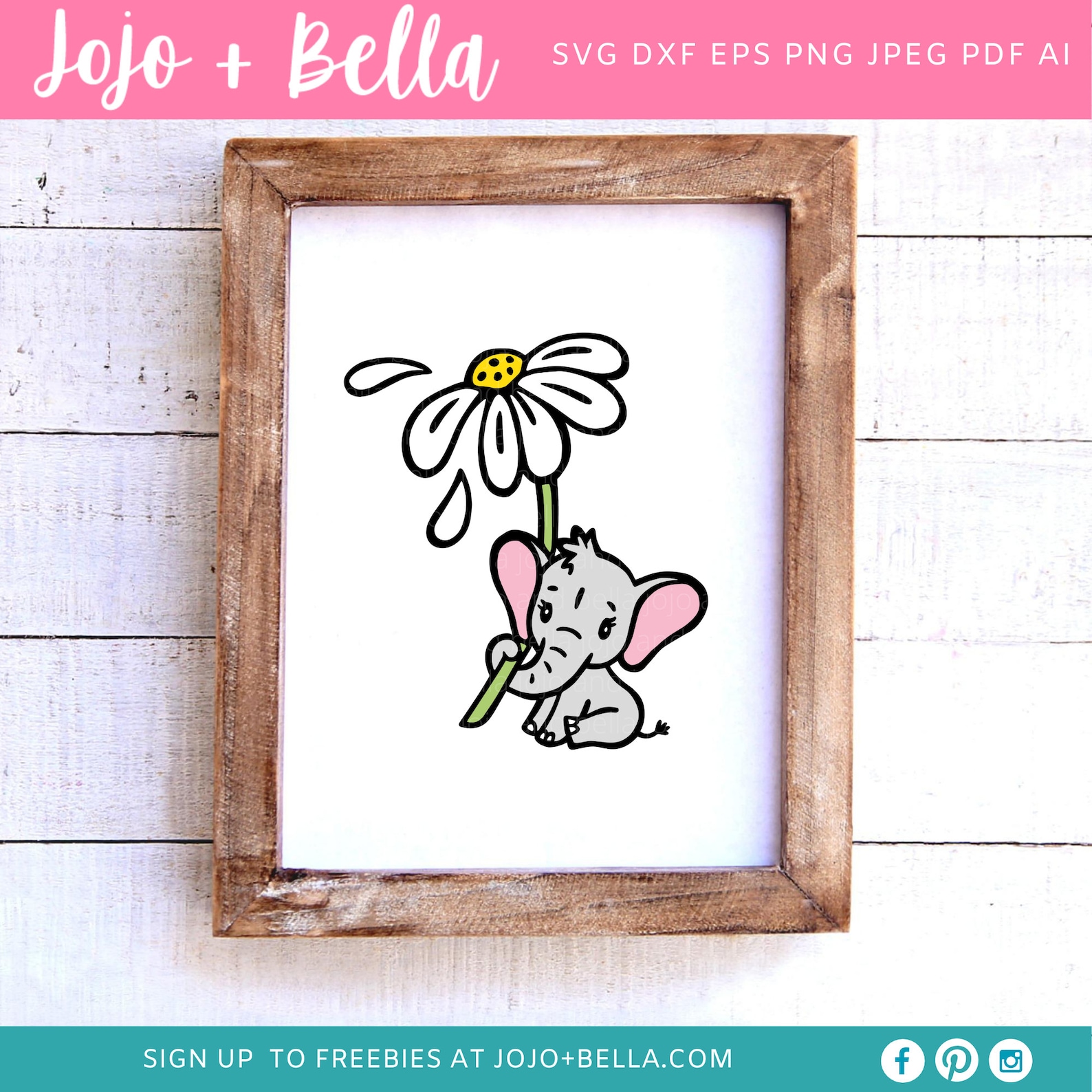 Elephant SVG Daisy Svg Baby Elephant Svg Cute Elephant - Etsy