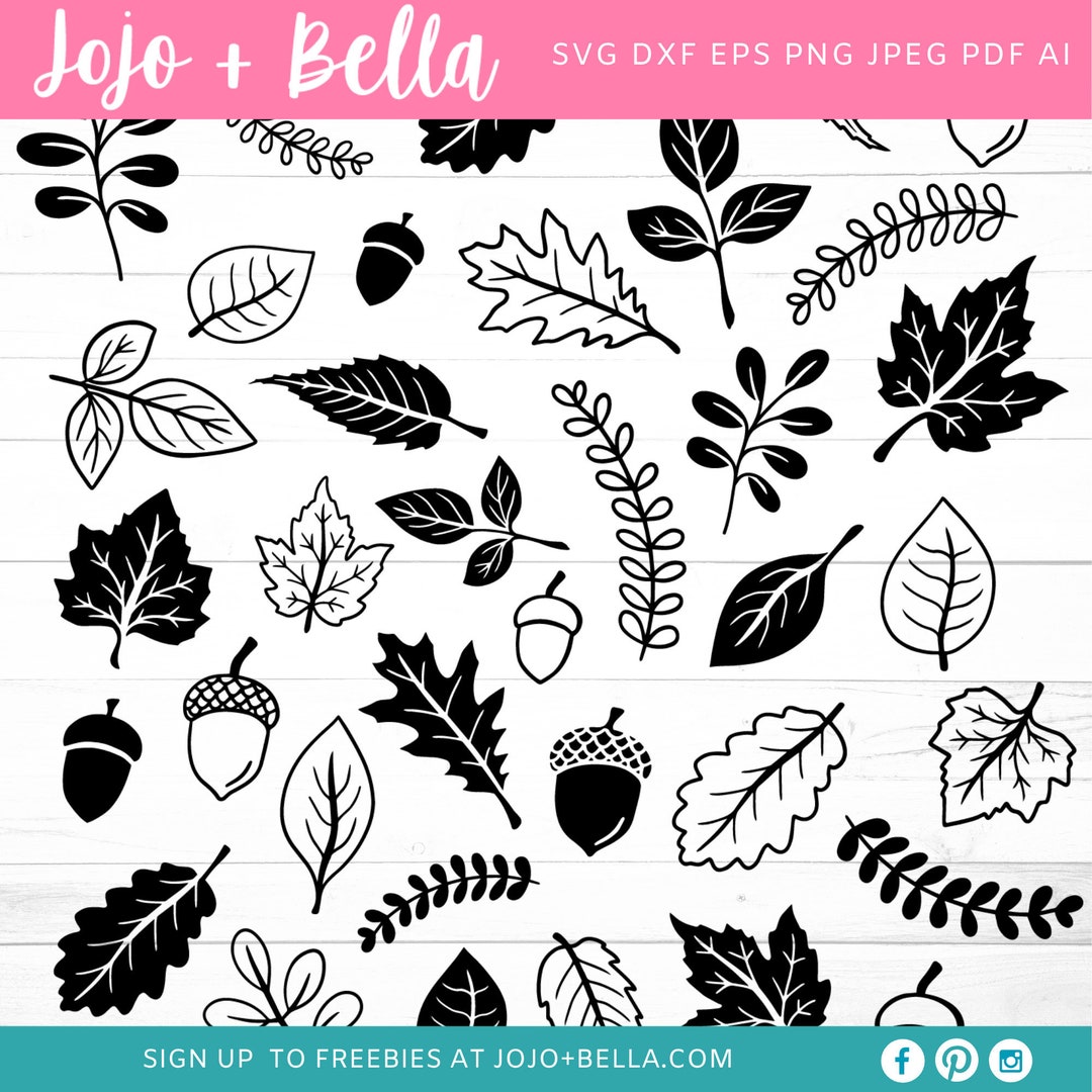 Fall Leaves Svg Bundle - 25 Designs, Fall Leaves Svg, Fall Leaf Svg ...