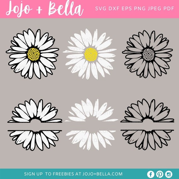 Daisy Svg Daisy Svg Bundle Daisy Split Monogram Svg Daisy - Etsy UK