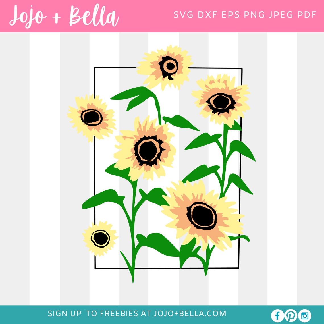 Sunflower Svg Sunflower Png Flower Svg Sunflowers Svg - Etsy