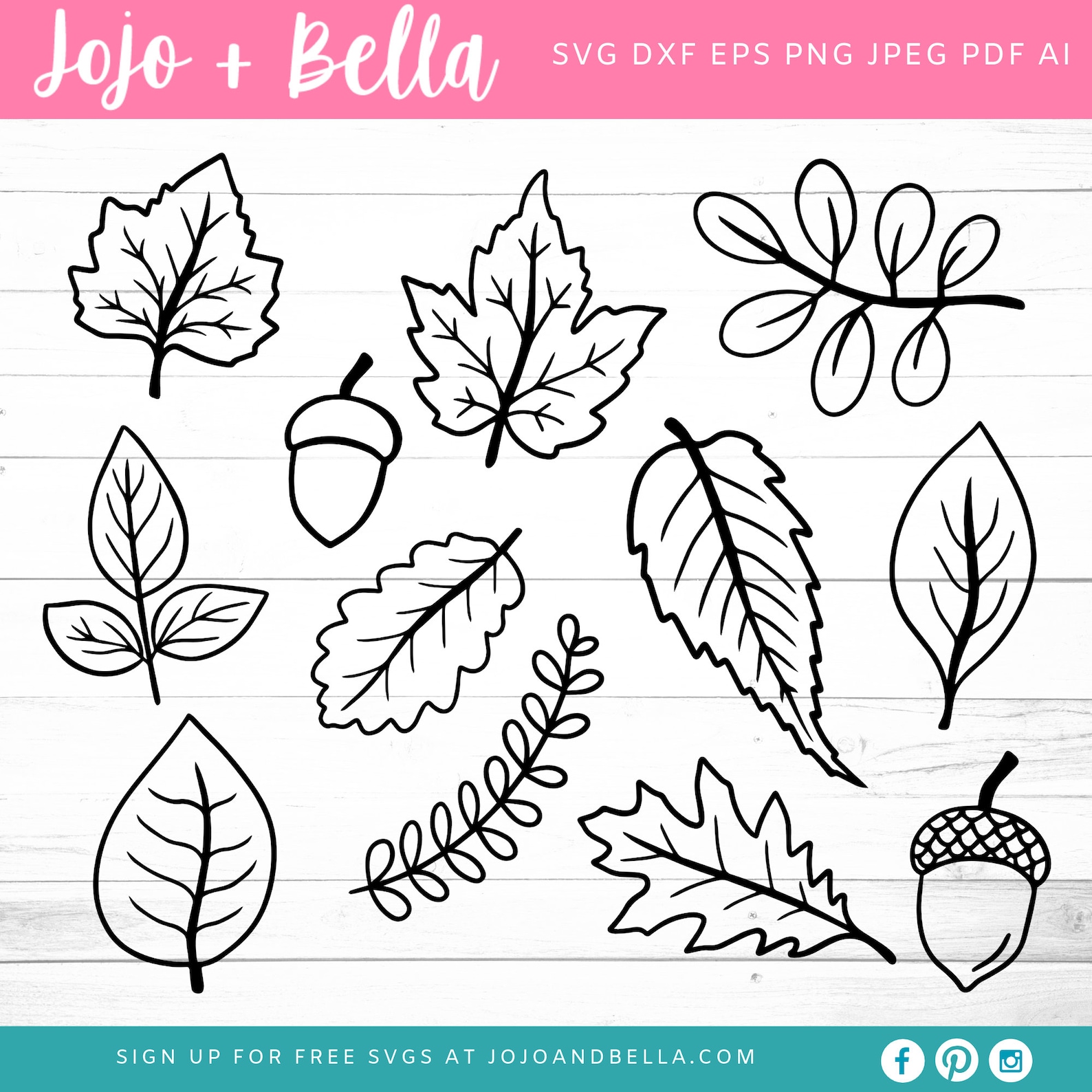 Fall Leaves Svg Bundle 25 Designs Fall Leaves Svg Fall - Etsy