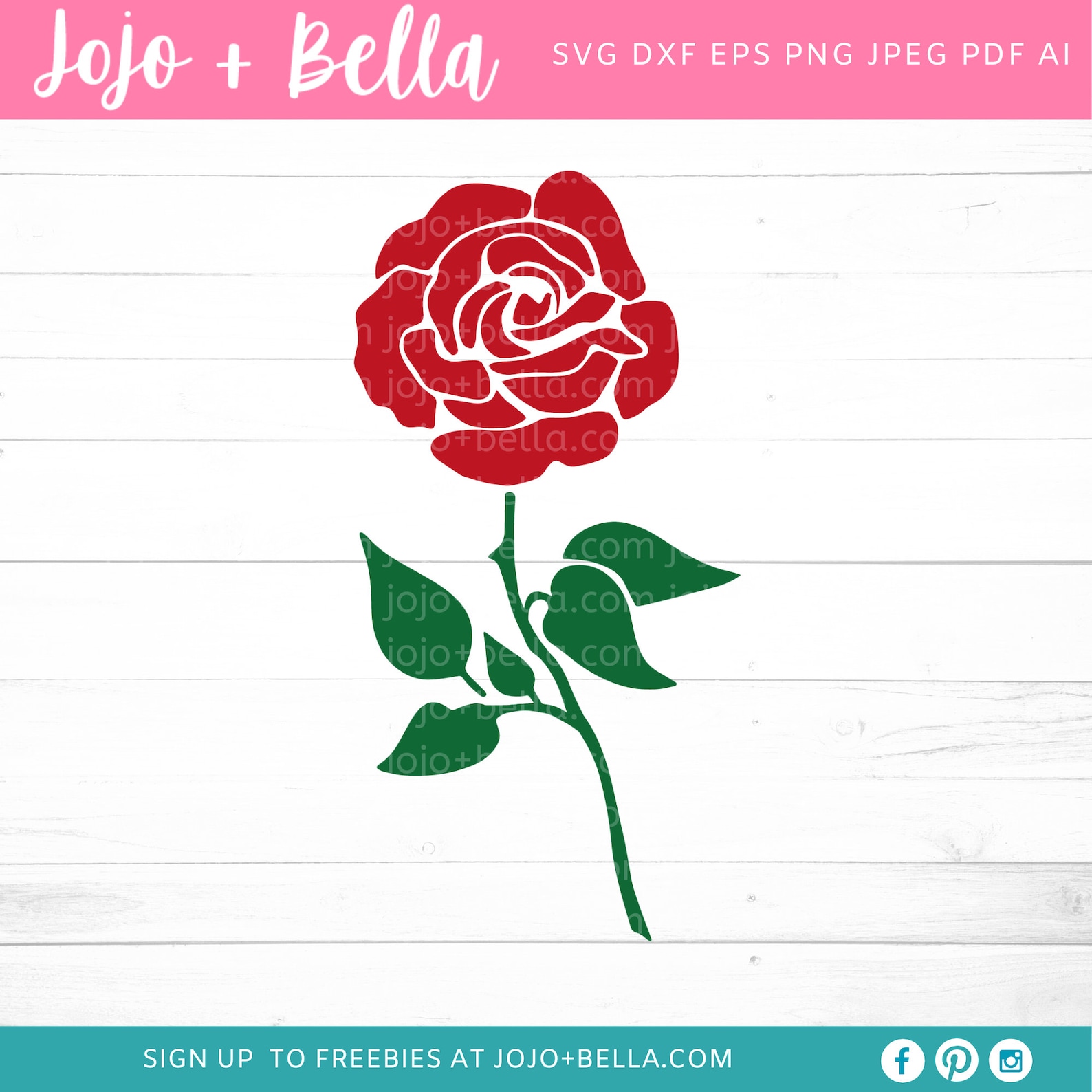 Rose Svg Svg Bundle Flower Svg Valentines Day Svg Flowers | Etsy