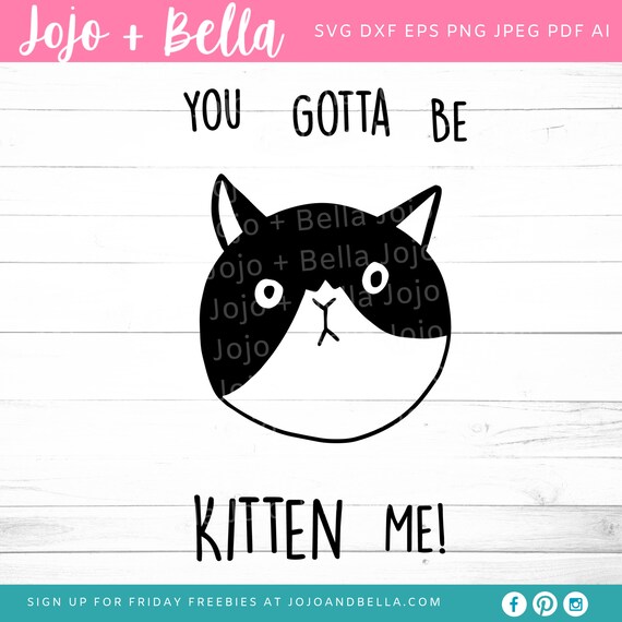 You Gotta Be Kitten Me SVG SVG Dxf Eps Jpeg Png Ai | Etsy UK