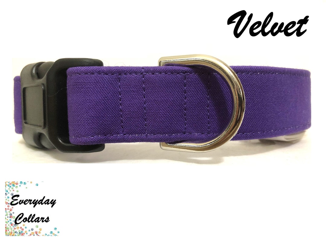 VELVET Dog Collar Cat Collar Purple Dog Collar Purple Cat Collar ...
