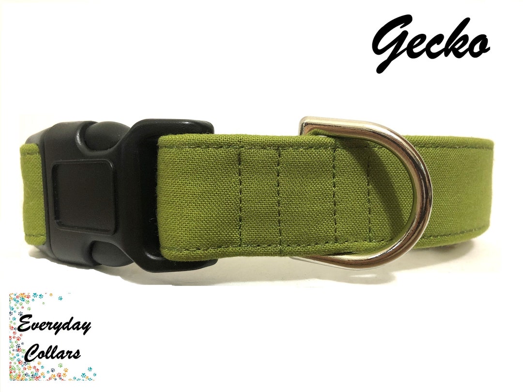 GECKO Dog Collar Cat Collar Green Dog Collar Green Cat Collar Everyday ...