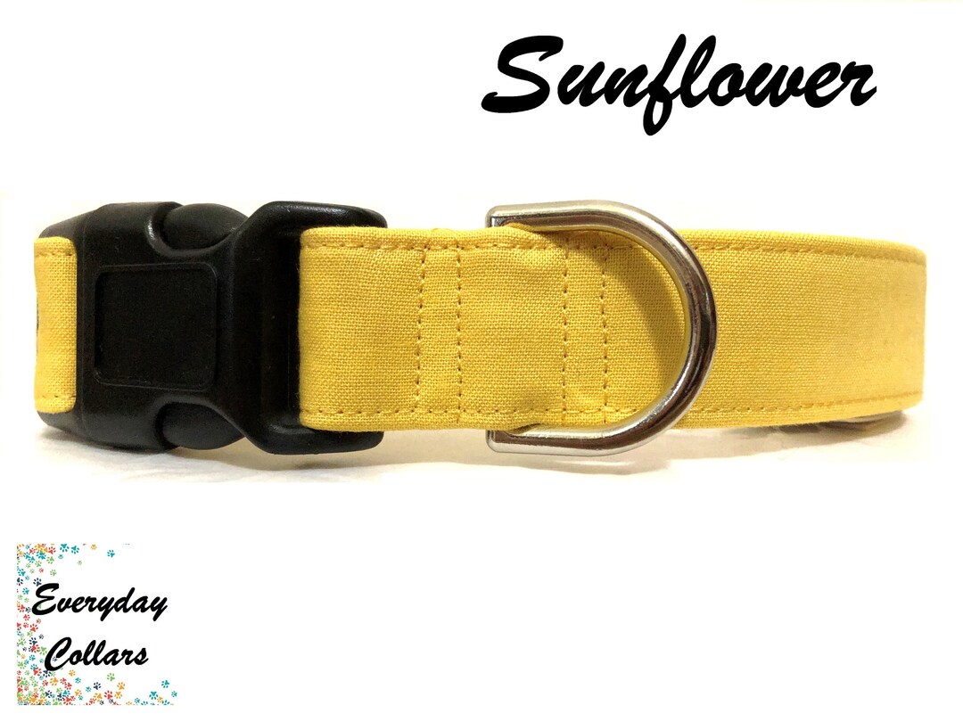 SUNFLOWER Dog Collar Cat Collar Yellow Dog Collar Yellow Cat Collar ...