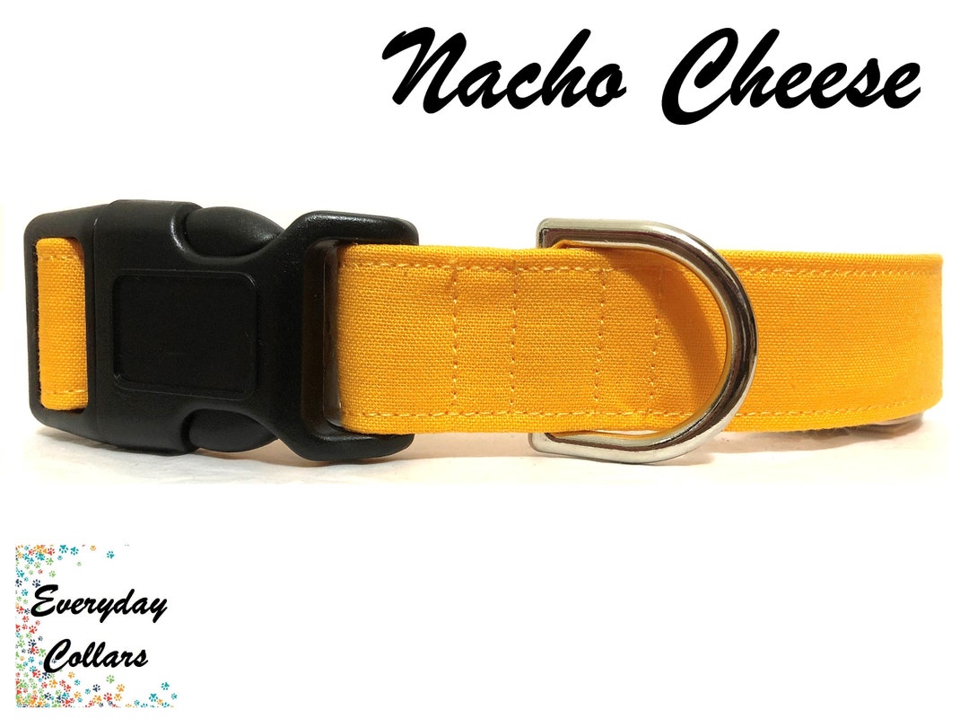 NACHO CHEESE Dog Collar Cat Collar Orange Dog Collar Orange Cat Collar ...