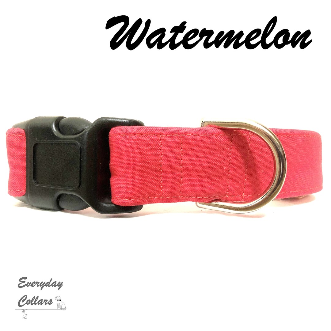 WATERMELON Dog Collar Cat Collar Pink Dog Collar Pink Cat Collar ...