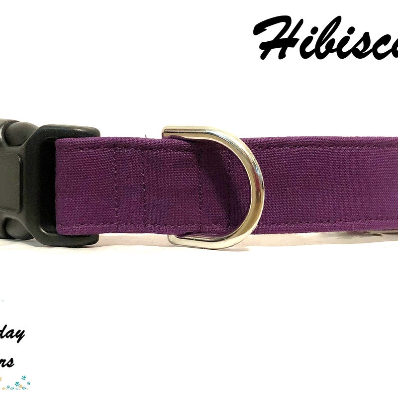 Purple Dog Collar - Etsy