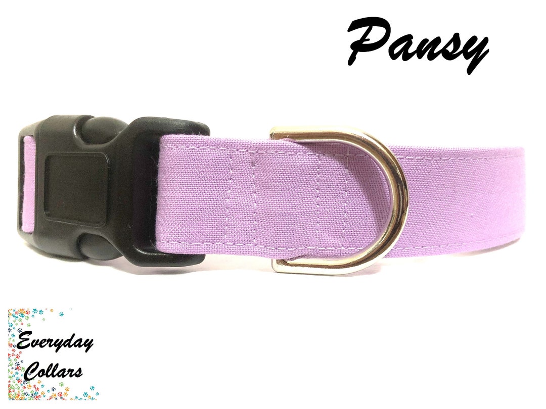 PANSY Dog Collar Cat Collar Purple Dog Collar Purple Cat Collar ...