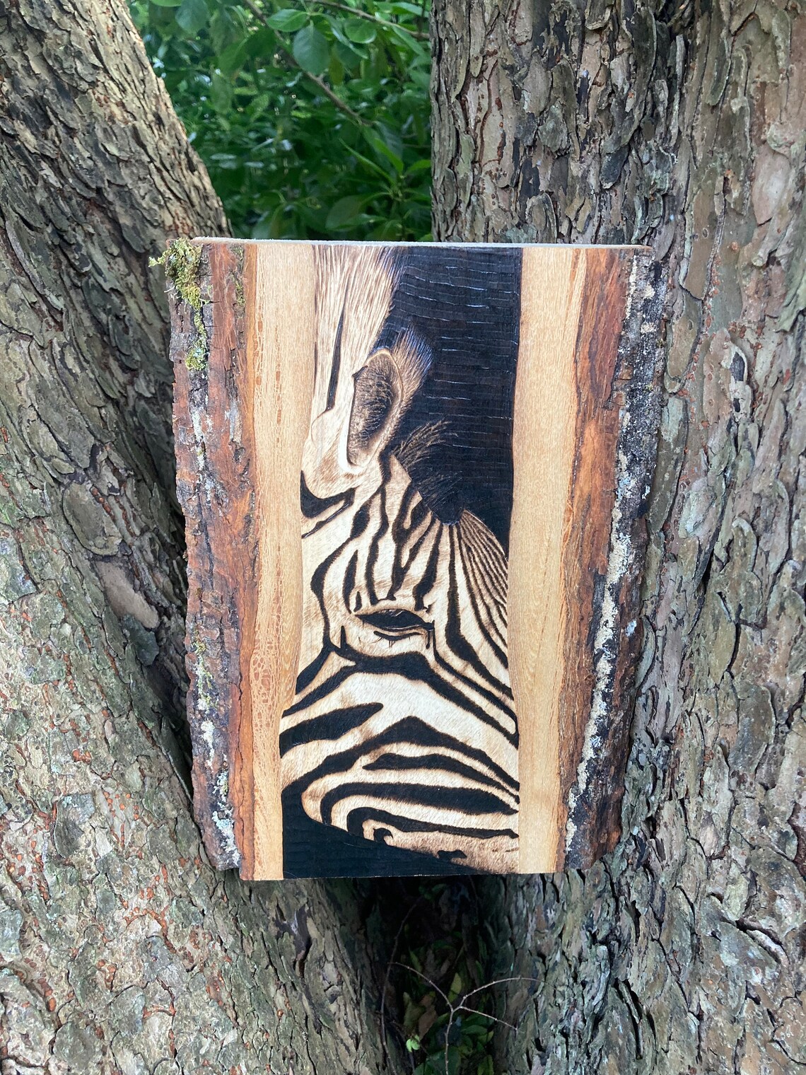 Zebra Wildlife Wall Art Wood Burning Art Zebra Wall Decor - Etsy