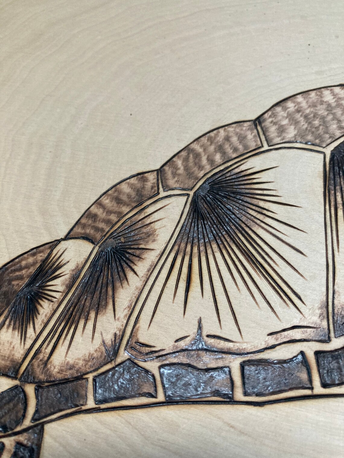 Sea Turtle Wall Art, Finding Nemo Wall Art, Sea Turtle Gifts, Turtle ...