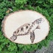 Sea Turtle Wall Art, Finding Nemo Wall Art, Sea Turtle Gifts, Turtle ...